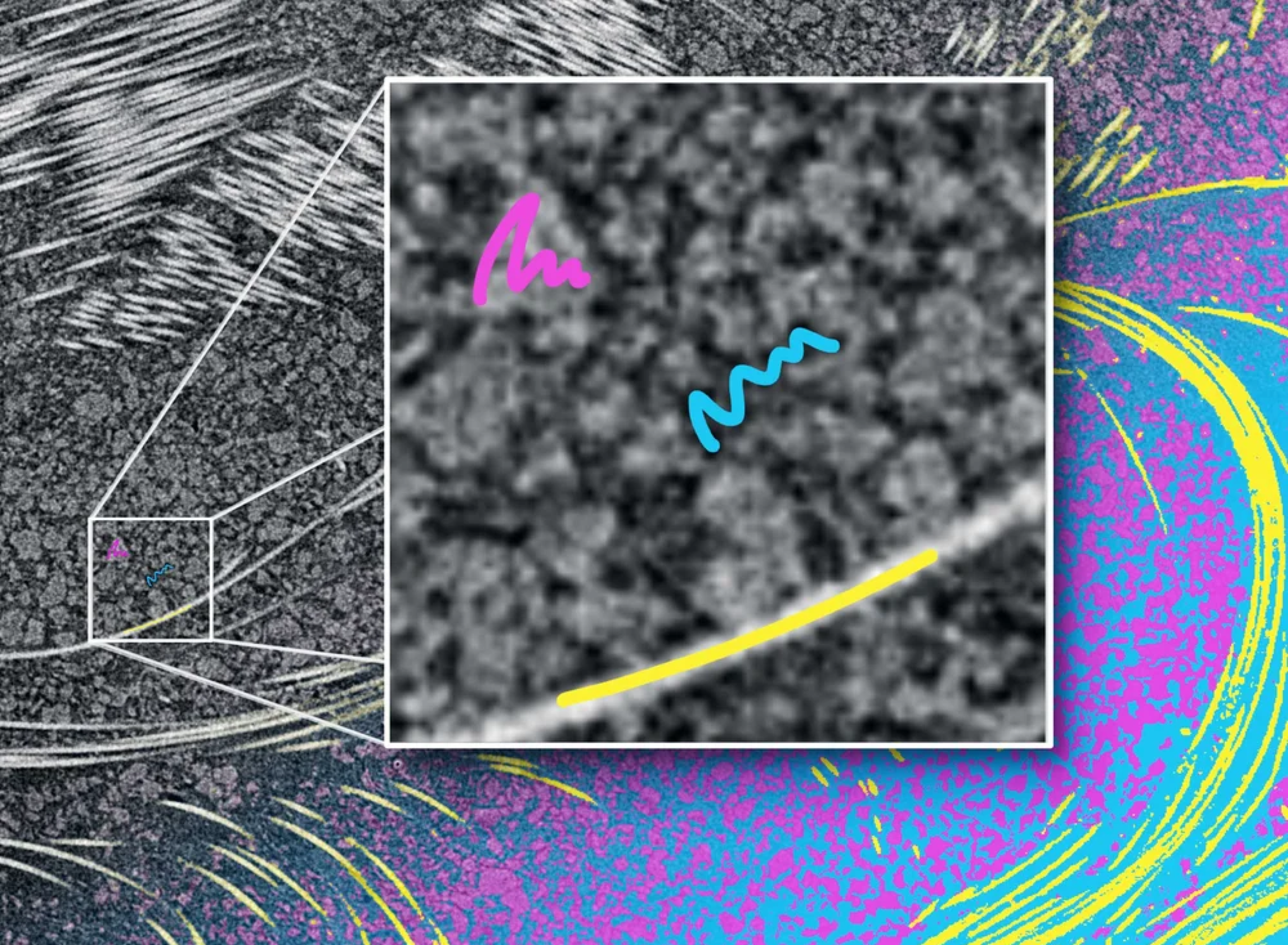 Segmentation - VGSTUDIO MAX - Products